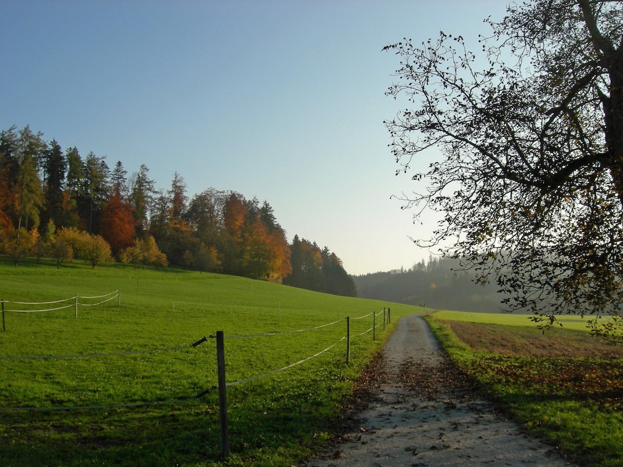 Gesundheitszentrum H7